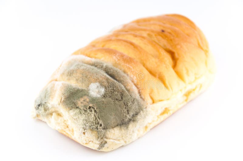 Muffa sul pane immagine stock. Immagine di marcio, marrone - 39881835