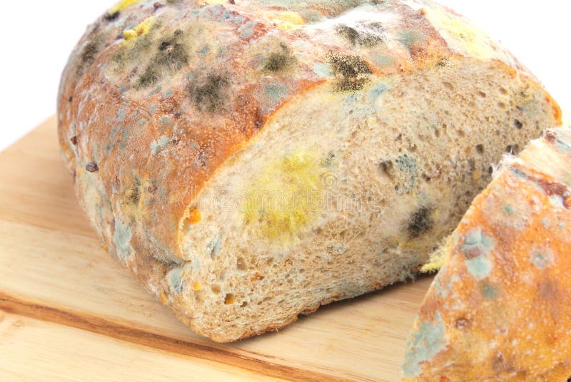 Muffa Sul Pane A Disposizione Fotografia Stock - Immagine di muffa ...