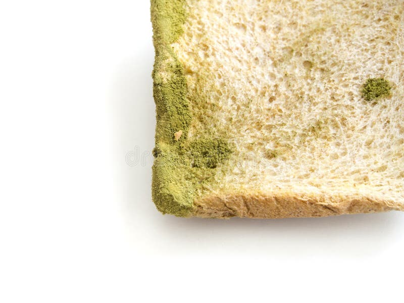 Muffa su pane isolato immagine stock. Immagine di macro - 58375979