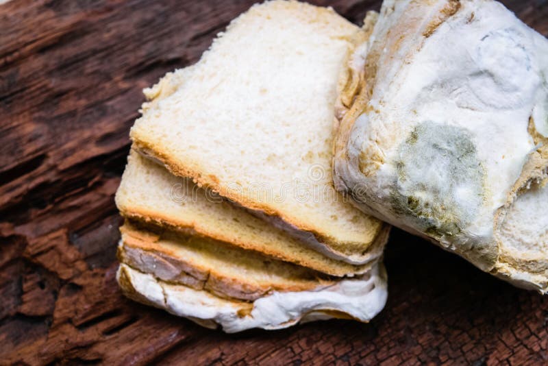 La Muffa Su Pane Ha Espirato Isolato Immagine Stock - Immagine di moldy ...