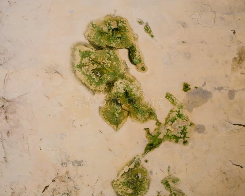 Muffa nera su un soffitto fotografia stock. Immagine di parete - 36537554