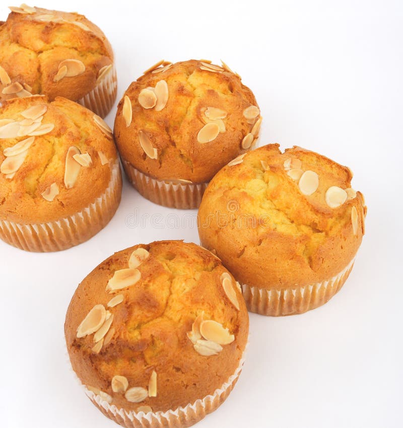 Muffin stock photo. Image of nutrition, chocolate, close - 8283712