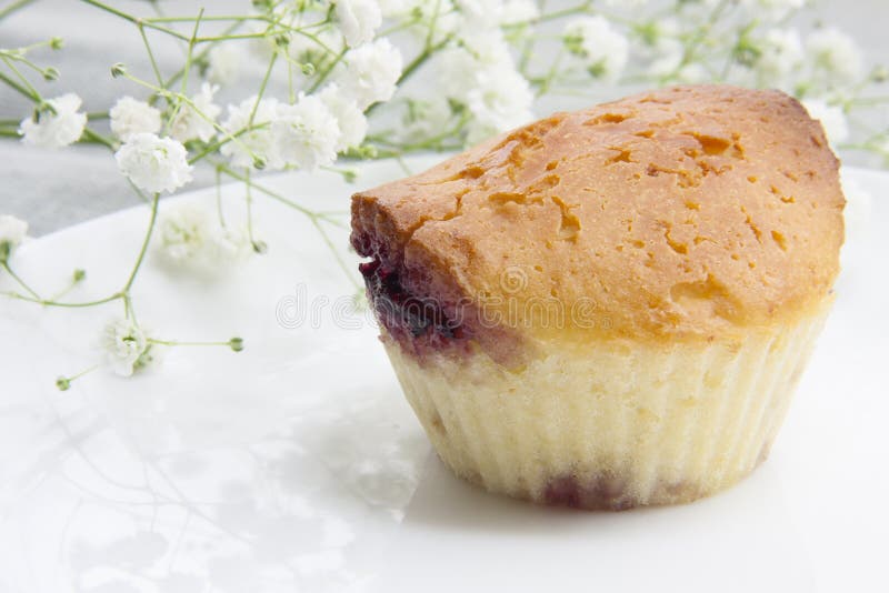 Muffin with jam stock image. Image of macro, plate, soft - 48130475