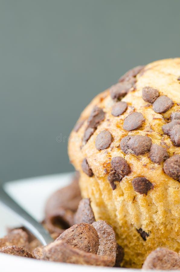 Muffin on a Plate stock photo. Image of sweet, cupcake - 28188672