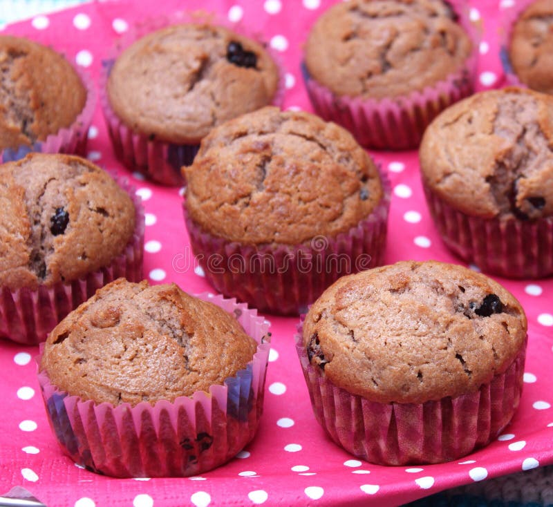 Muffin stock photo. Image of dessert, muffin, bakery - 66912288