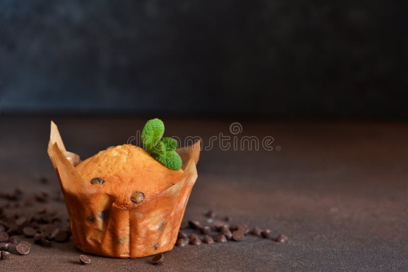 Muffins with Chocolate Chunks on the Kitchen Table with Space for Text ...