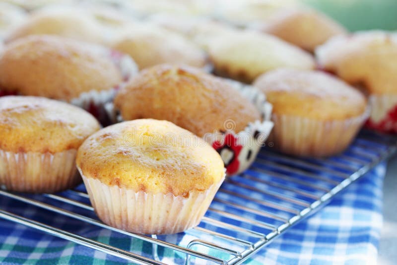 Muffins cool on a lattice stock image. Image of garden - 56925945