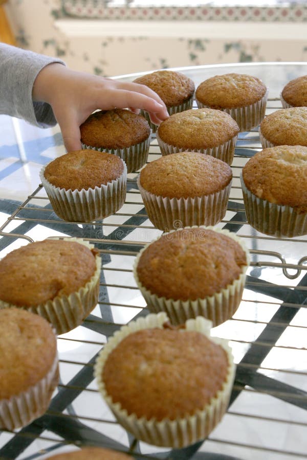Muffins on Cooling Rack stock image. Image of cake, hand - 6855329