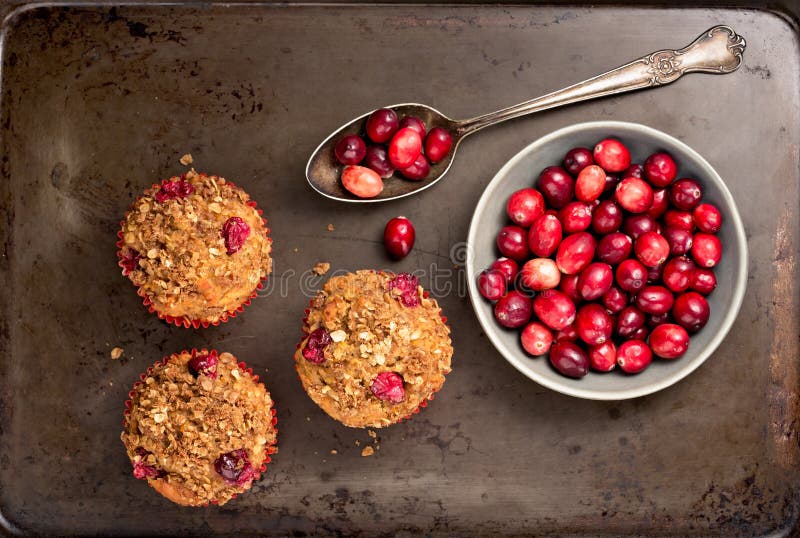 Muffins and Cranberries stock image. Image of brunch - 62049115
