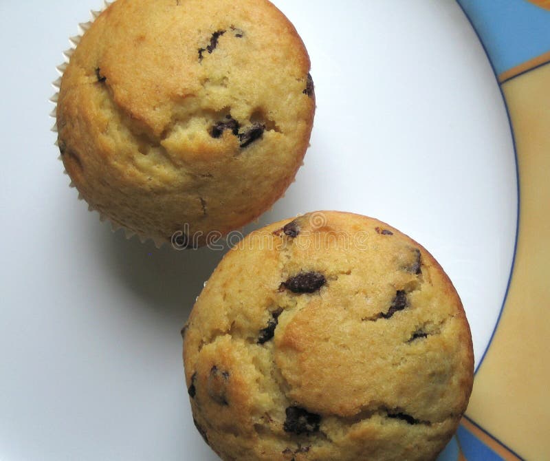 Dinner-plate stock image. Image of chow, glamour, dining - 2239559