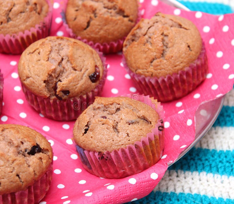 Muffins stock photo. Image of cupcake, homemade, cakes - 66932340