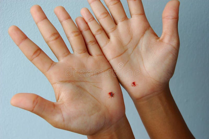 Mug van Knokkelkoorts stock afbeelding. Afbeelding bestaande uit ...