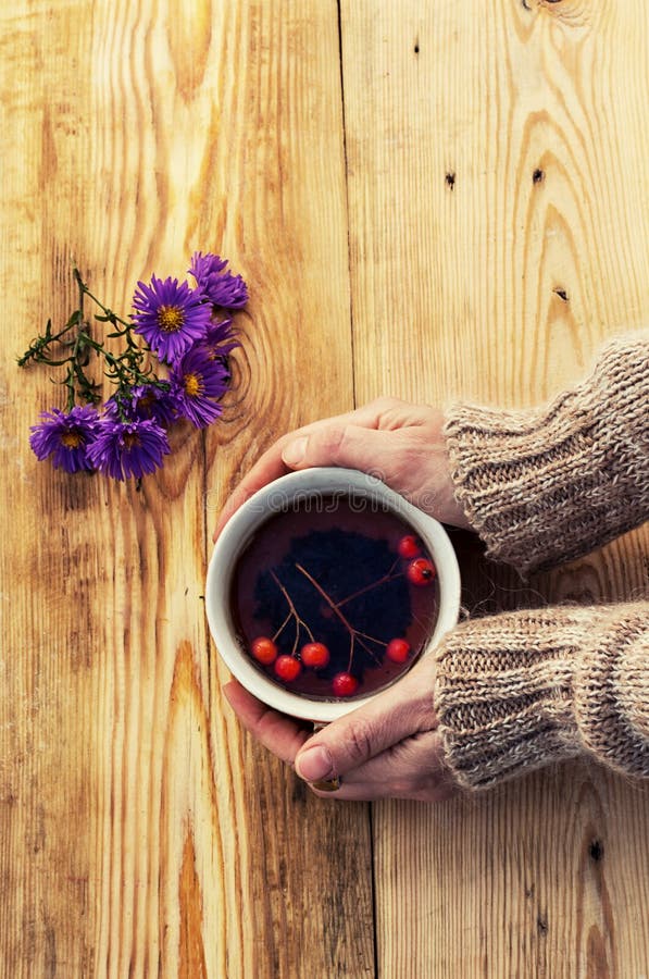 Mug autumn fruit tea stock image. Image of warm, yellow - 45637817