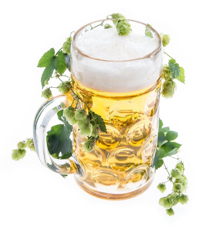 Mug of Beer with Hops on White Stock Photo - Image of plant, booze ...