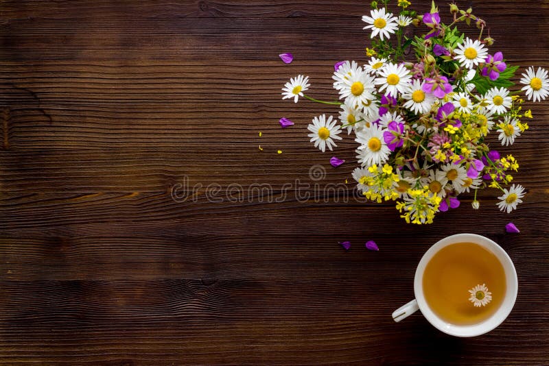 Mug of Chamomile Tea with Fresh Flowers Top View Stock Image - Image of ...