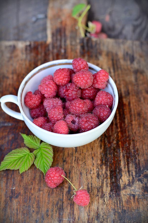 Mug with fresh raspberries stock photo. Image of healthy - 43540226