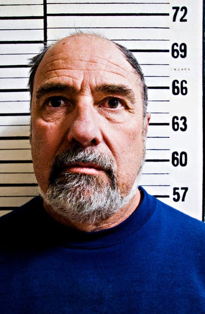 The Mug Shot stock image. Image of arrest, goatee, lineup - 4538485
