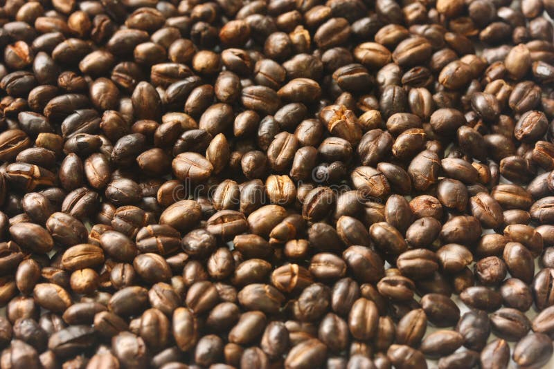 Mugicha , Roasted Barley Tea Stock Photo - Image of soft, mugicha: 20275206