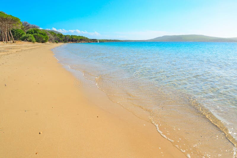 Mugoni Beach on a Clear Day Stock Image - Image of seascape, green ...