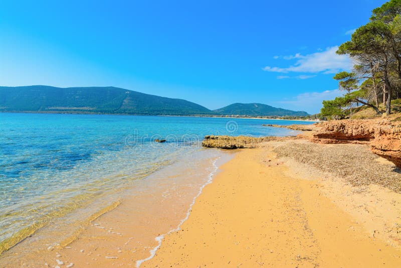 Mugoni Beach Under a Clear Sky Stock Photo - Image of beautiful, scrub ...