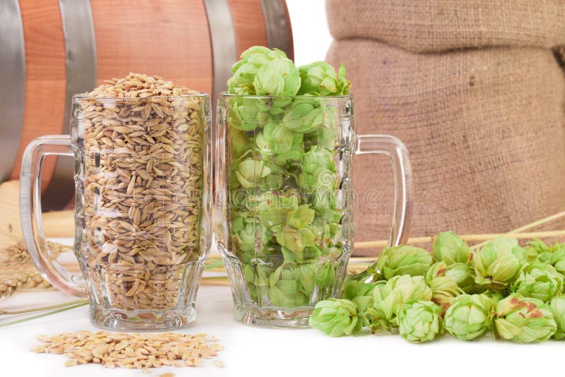 Mugs with barley and hop stock photo. Image of crop, barley - 44787320
