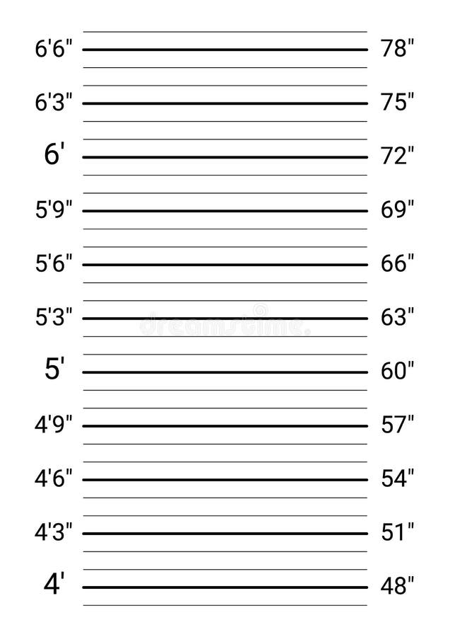 Mugshot Background. Police Lineup Wall with a Metric Units Scale Stock ...