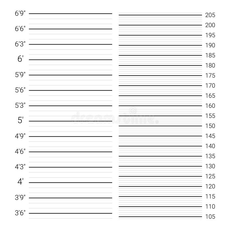 Police Lineup Background Centimeters Stock Illustrations – 22 Police ...
