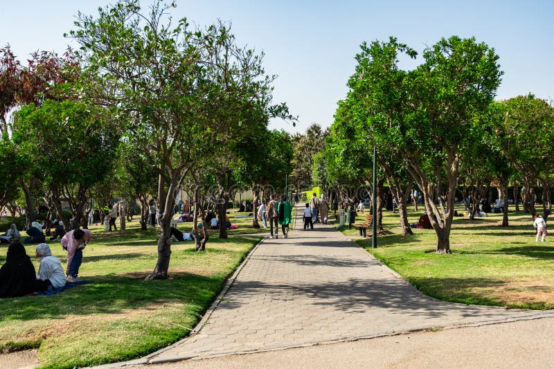 Cairo, Egypt - 05 04 2025: Muhammad Ali Mosque and Cairo Citadel. View ...