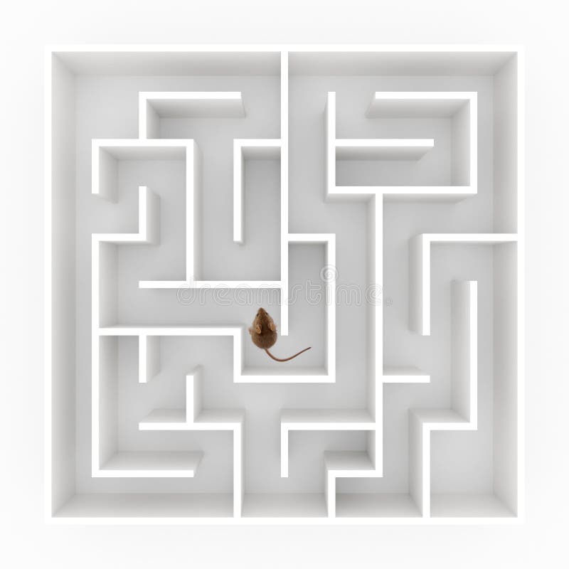 Muis in labyrint stock afbeelding. Image of labyrint - 33982995