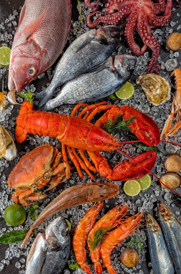 Muito Tipo Do Marisco, Servido No Gelo Esmagado Foto de Stock - Imagem ...