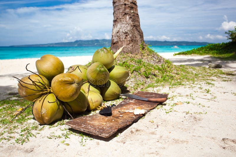 Muitos cocos na praia foto de stock. Imagem de costa - 27704548