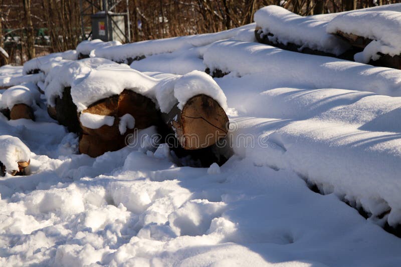 Muitos Logs Da Madeira Cobertos Com a Neve Imagem de Stock - Imagem de ...