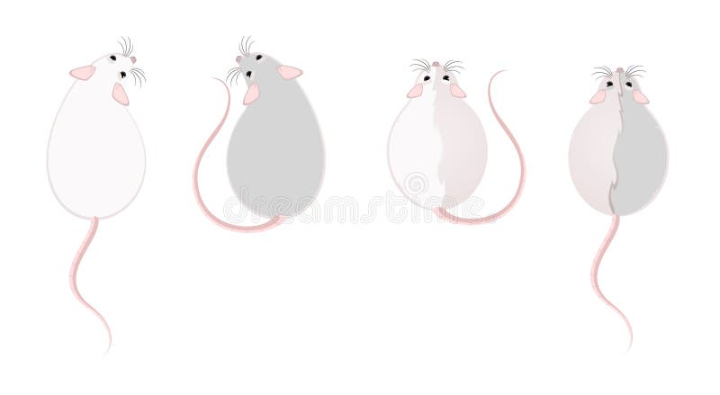 Muizen vector illustratie. Illustration of muizen, verplaatsen - 10420288