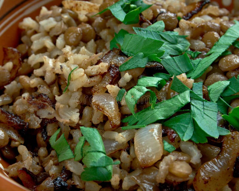 Mujaddara stock photo. Image of mudardara, middle, eastern - 42286794