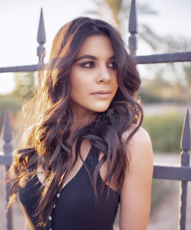 Mujer Hermosa Con El Pelo Moreno Largo Foto de archivo - Imagen de ...