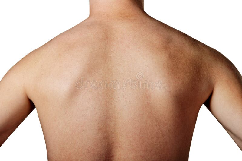 Pecho imagen de archivo. Imagen de atractivo, primer - 10016847