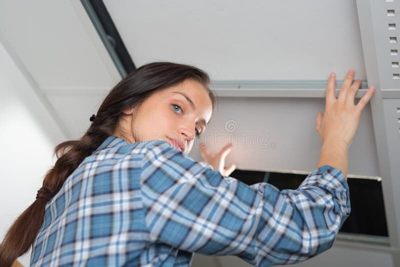 Mujer Reemplazando El Panel De Techo Foto de archivo - Imagen de techo ...