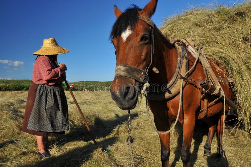 Mujer y mula campesinas foto de archivo. Imagen de giro - 10348920
