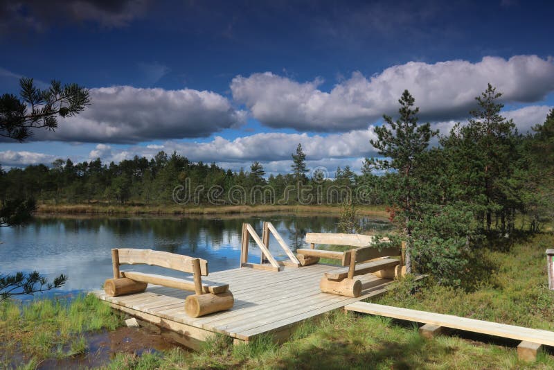 Mukri stock image. Image of pines, summer, estonia, lake - 76916975