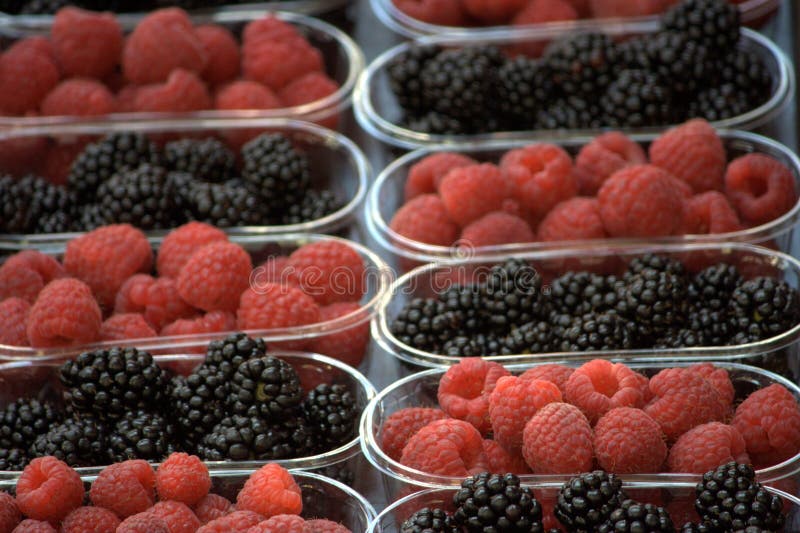 Mulberries and Raspberries Baskets Stock Photo - Image of colourful ...