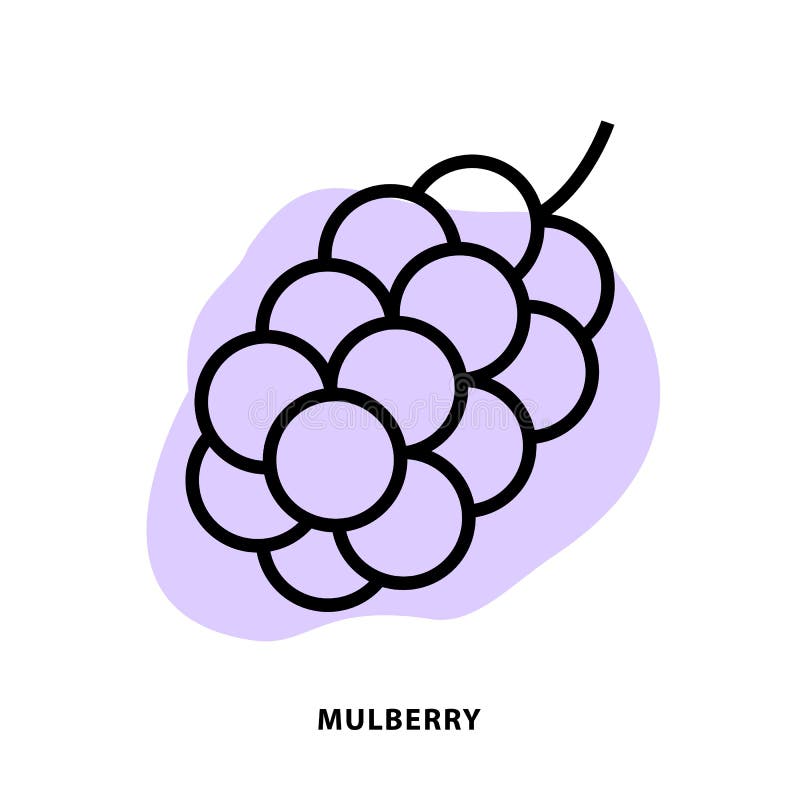 Mulberry Linear Icon Design for Application or Web Design Template ...