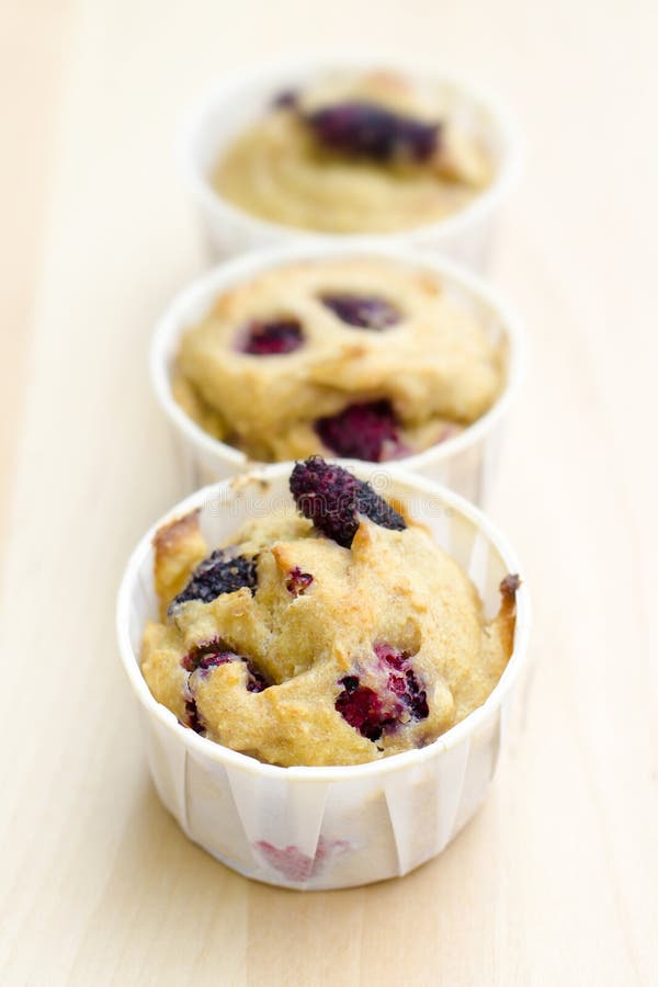 Mulberry muffins stock photo. Image of brown, indulgence - 21491350