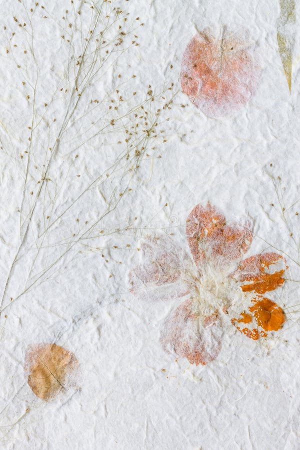 Mulberry paper background stock photo. Image of abstract - 47048664