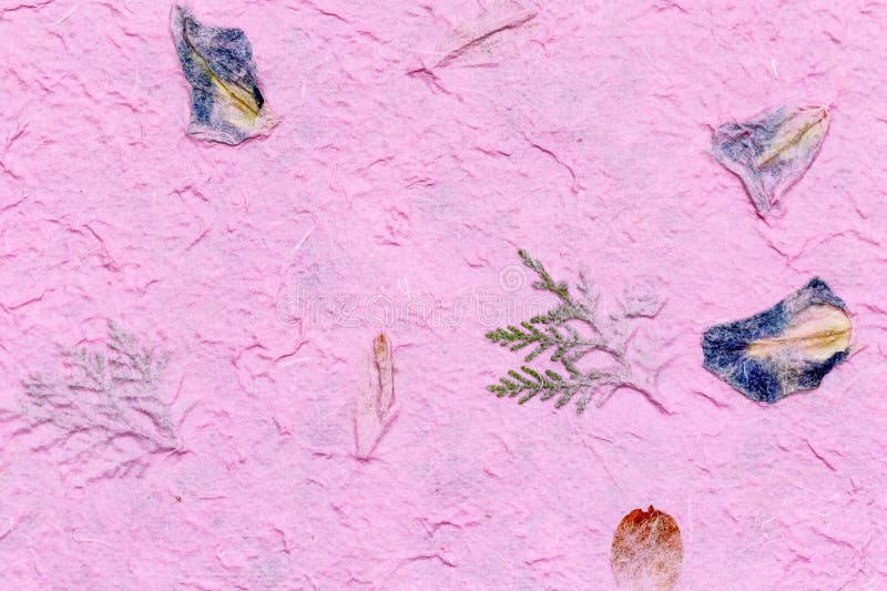 Textured of Mulberry Paper with Dry Flower and Dry Leaf Stock Photo ...