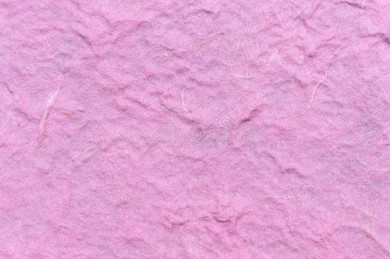 Textured of Mulberry Paper with Dry Flower and Dry Leaf Stock Image ...