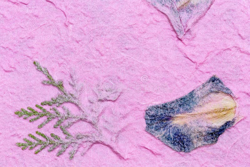 Textured of Mulberry Paper with Dry Flower and Dry Leaf Stock Image ...