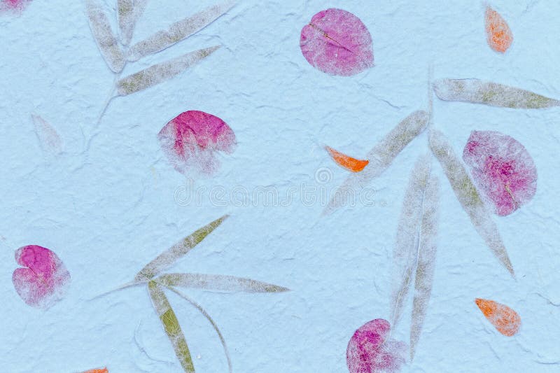 Textured of Mulberry Paper with Dry Flower and Dry Leaf Stock Image ...