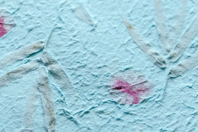 Textured of Mulberry Paper with Dry Flower and Dry Leaf Stock Image ...