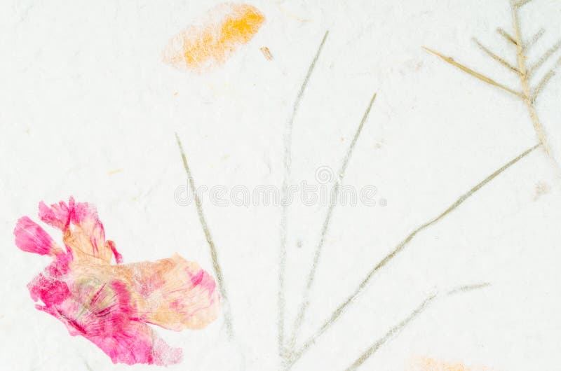 The Mulberry Paper with Flowers Texture Background Stock Illustration ...