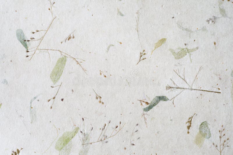 Mulberry paper stock photo. Image of grunge, rumpled - 55065530